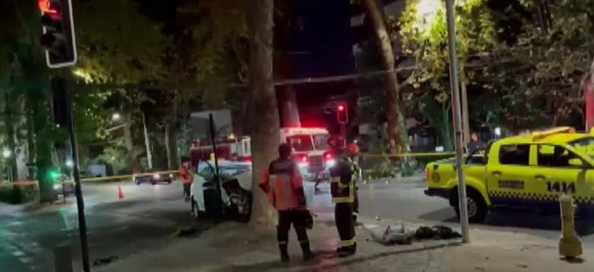 Persona choca contra un árbol en Providencia y muere de forma ...